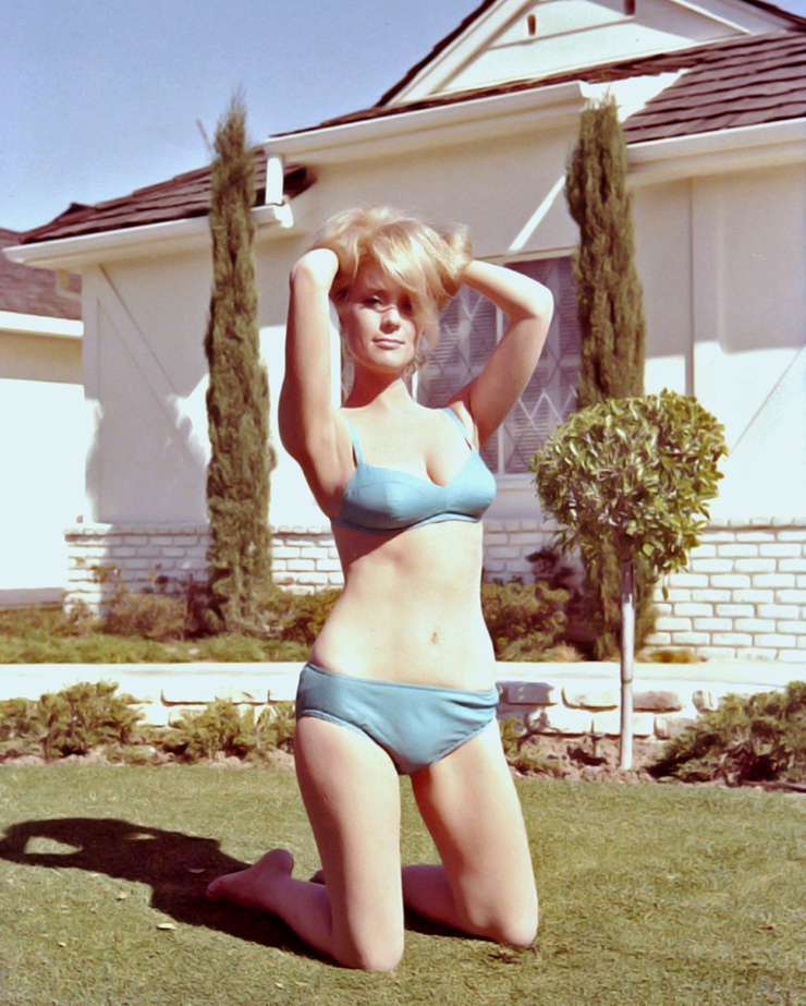 Inger Stevens image