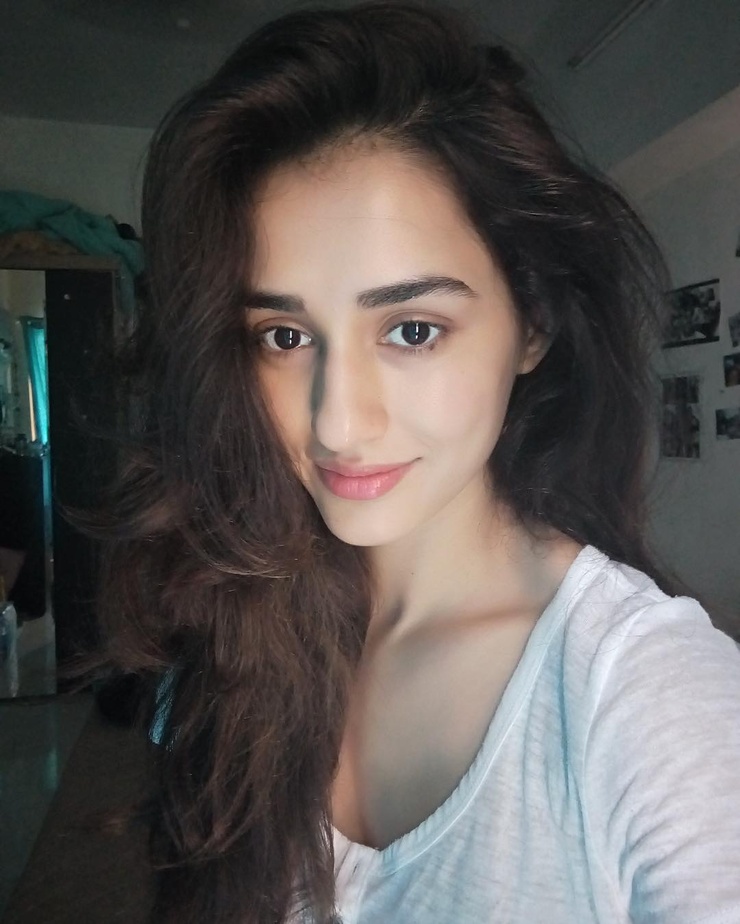 Picture of Disha Paatni