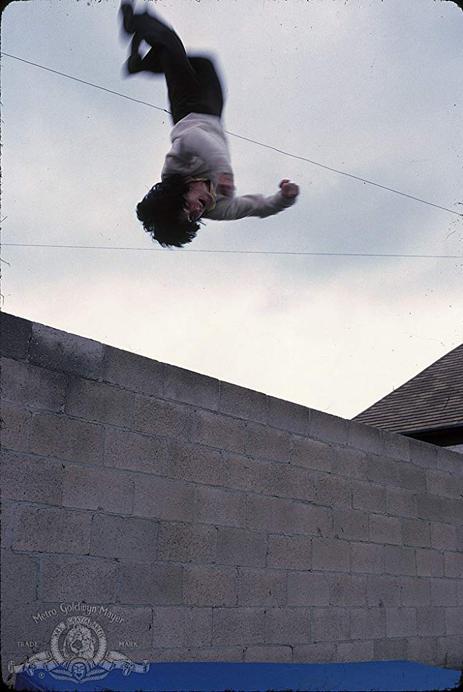 Picture of Revenge of the Ninja