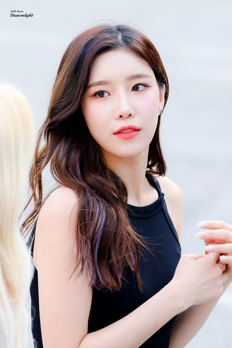 Dawon image