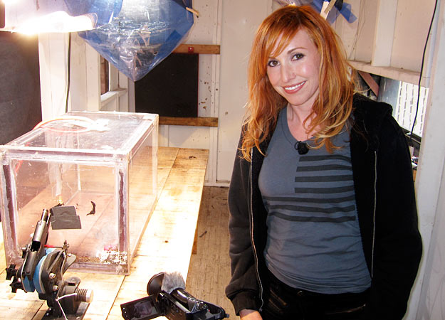 Kari Byron image