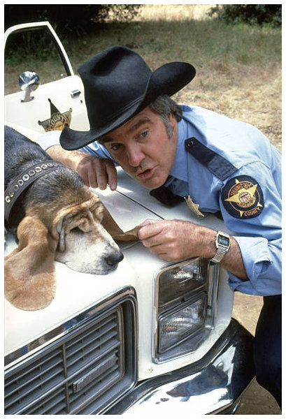 James Best