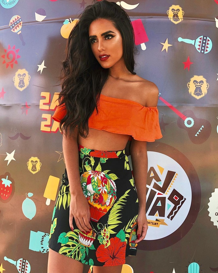 Gabriela Borges image