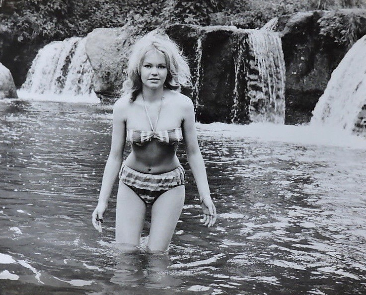 Ingrid Simon picture