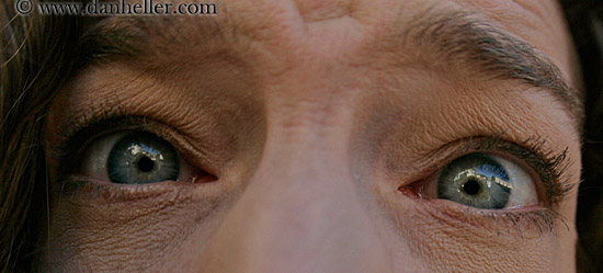 Picture of Gerri Lawlor