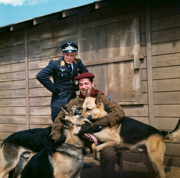 Werner Klemperer, Robert Clary