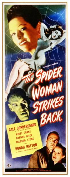 Picture of The Spider Woman Strikes Back