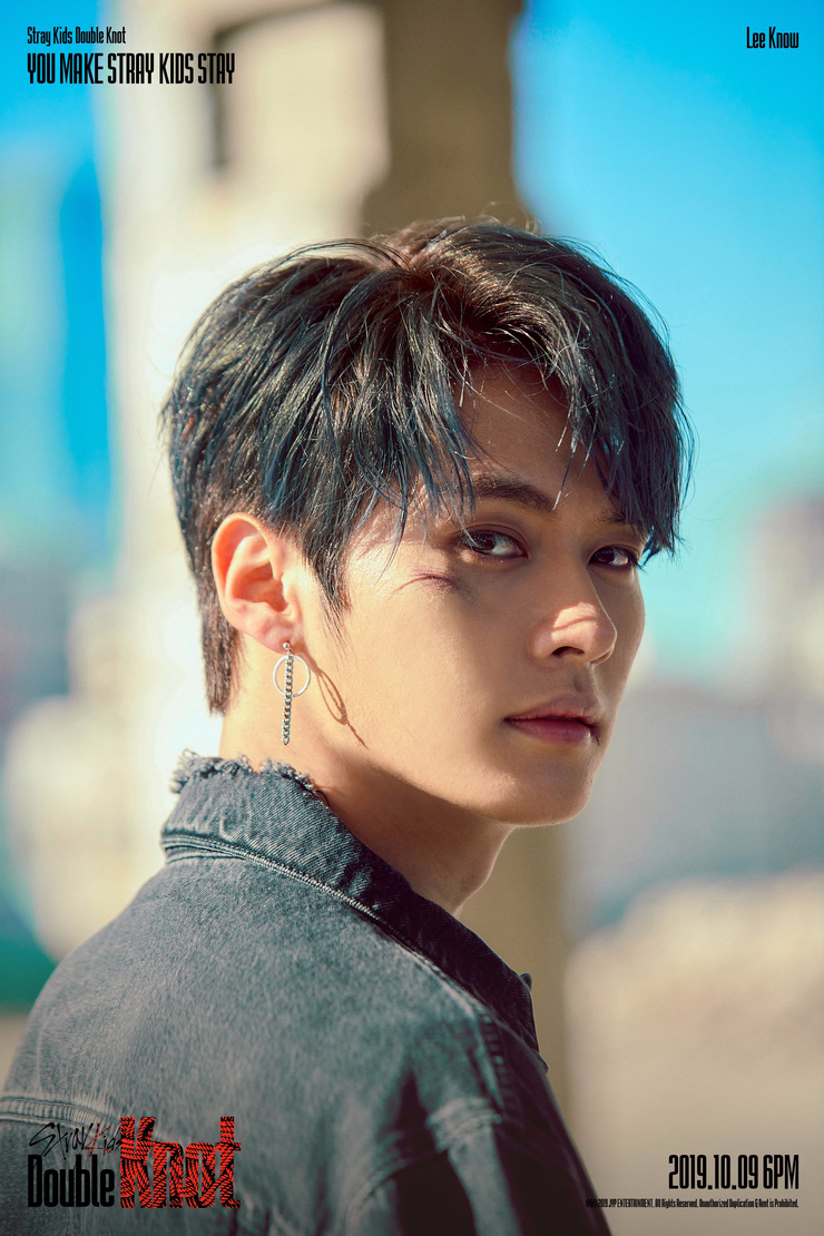 Picture of Stray Kids