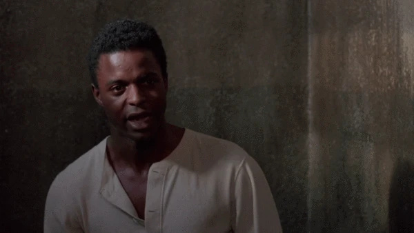 Picture of Native Son