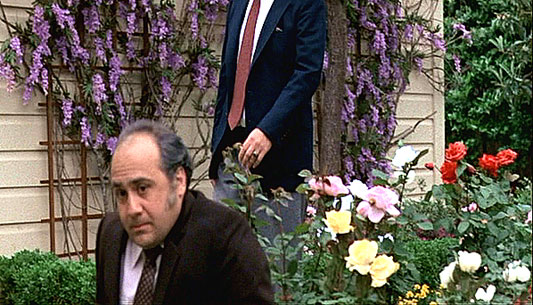 Picture of Terms of Endearment (1983)