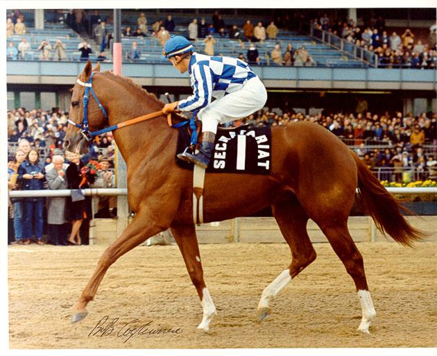 Picture of Secretariat