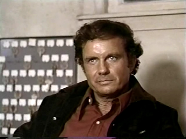 Picture of Man on a Swing