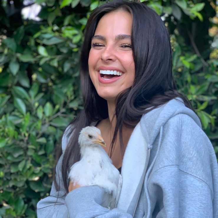 Addison Easterling image