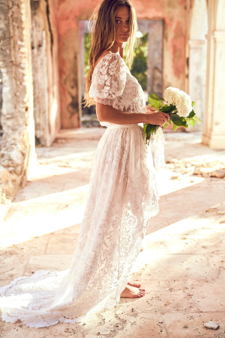 Picture of victoria plum