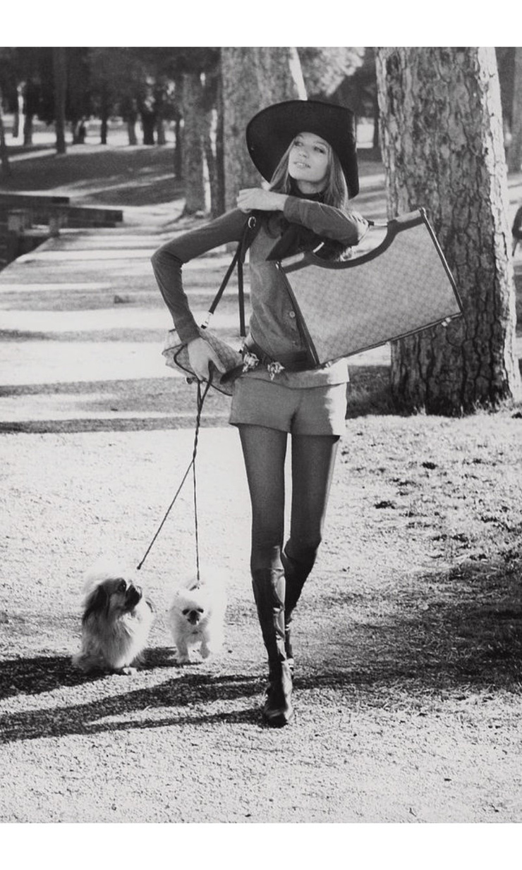 Veruschka von Lehndorff picture