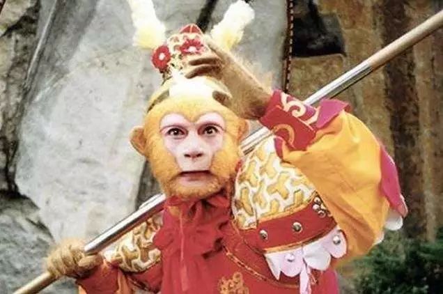 Six Eared Macaque image