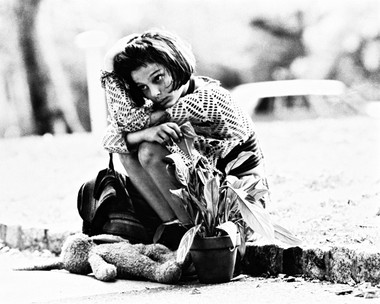 Picture of Léon: The Professional