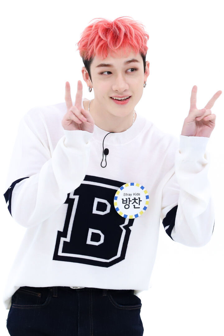 Bang Chan picture