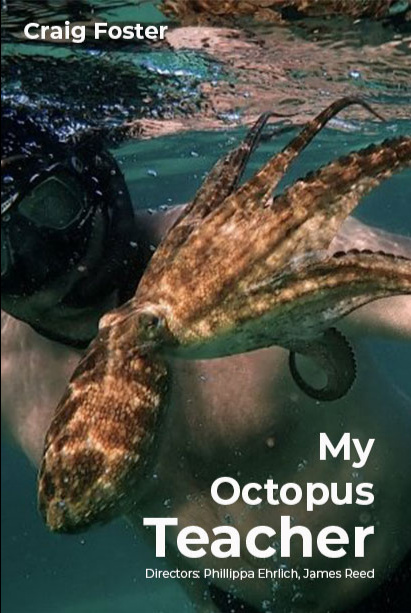 Picture of My Octopus Teacher