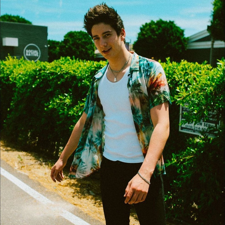 Picture of Milo Manheim