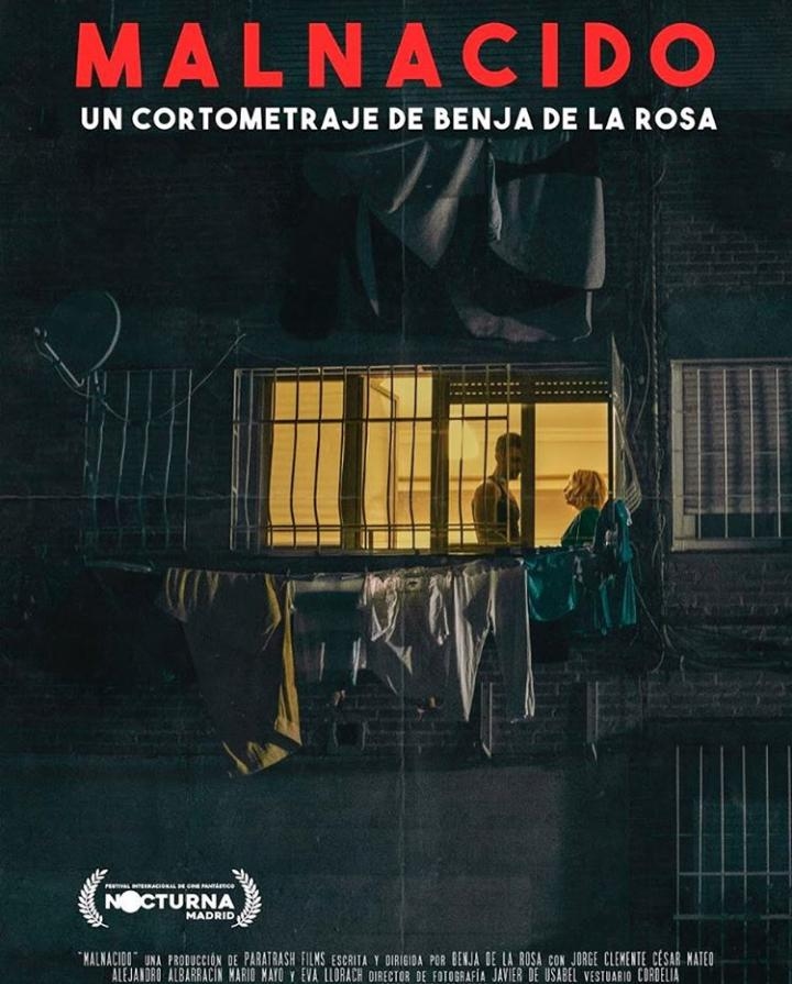 Picture of Malnacido