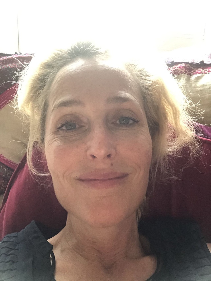 Picture of Gillian Anderson