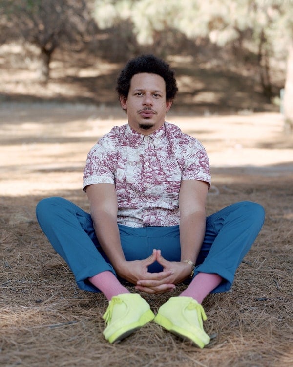 Picture of Eric André