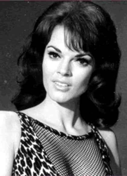 Image of Sharon Harvey