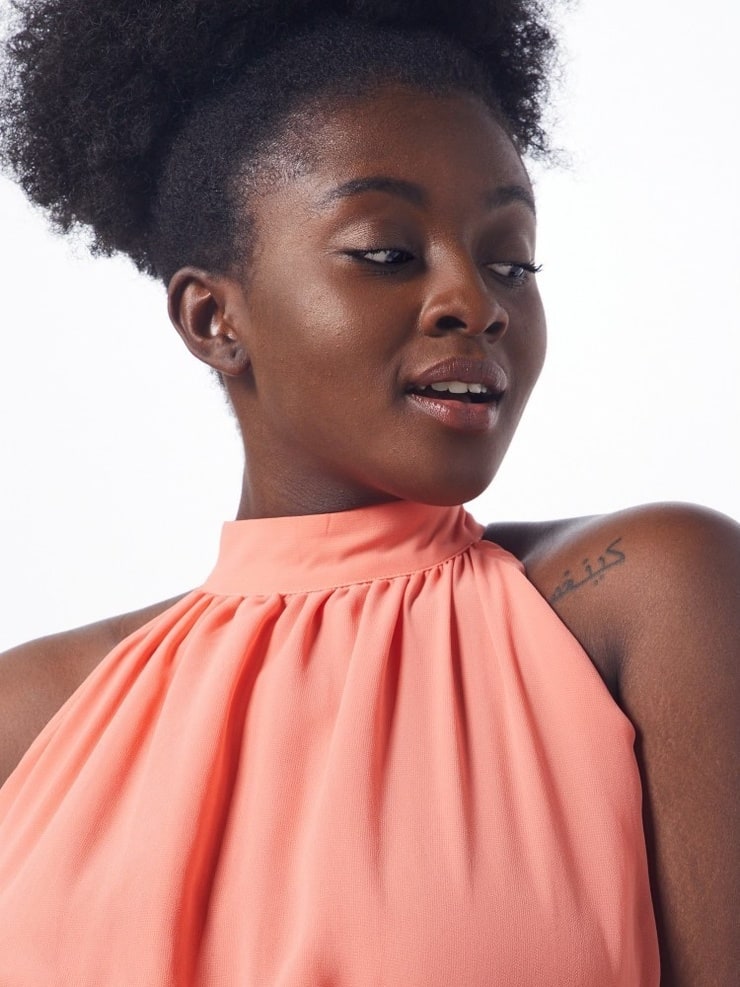 Picture of Endurance Ark