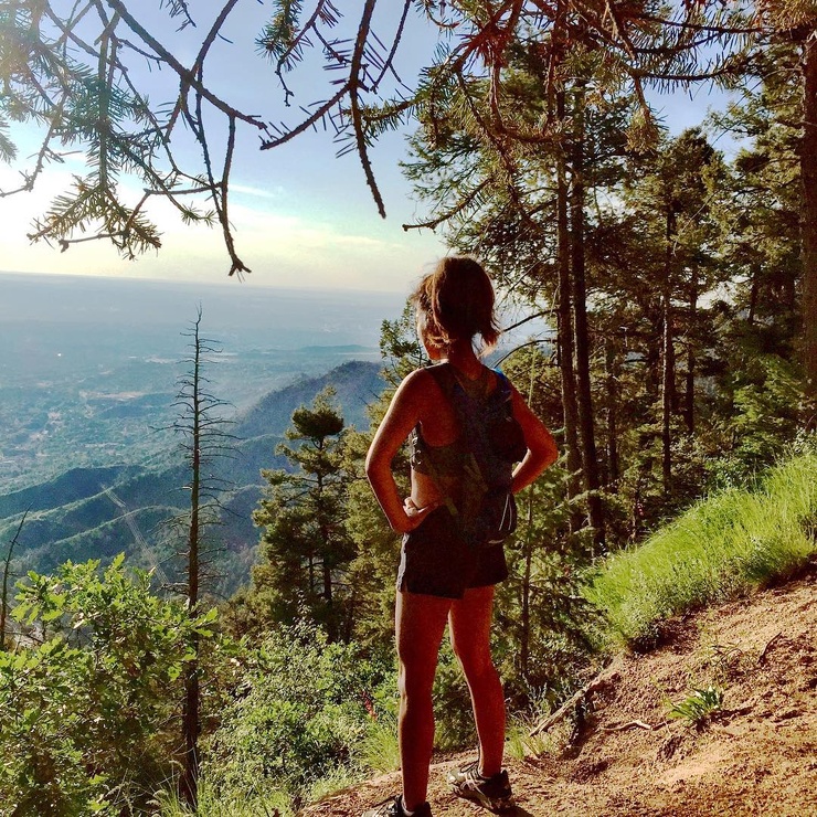 Picture of Michelle Malkin