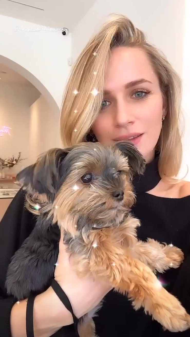 Shantel VanSanten image