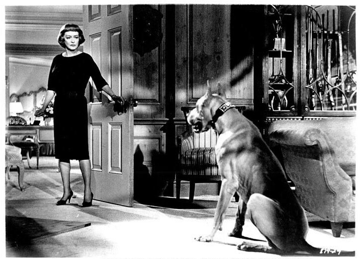 Picture of Dead Ringer (1964)