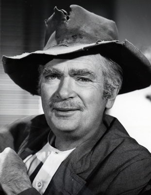 Picture of Buddy Ebsen