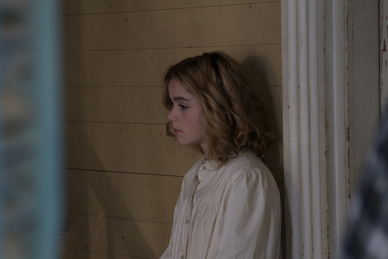 Picture of The Edge of the Woods