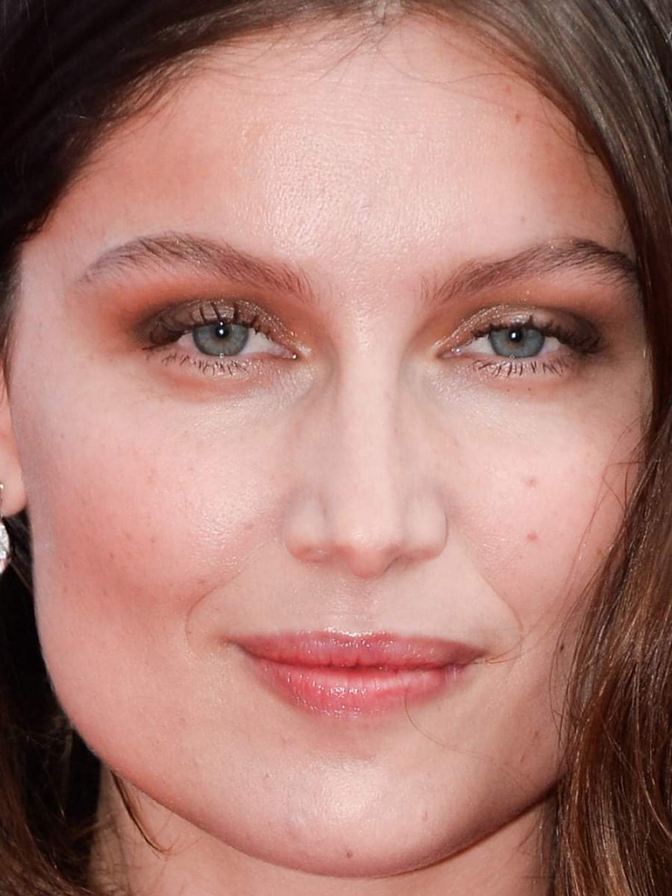 Picture of Laetitia Casta