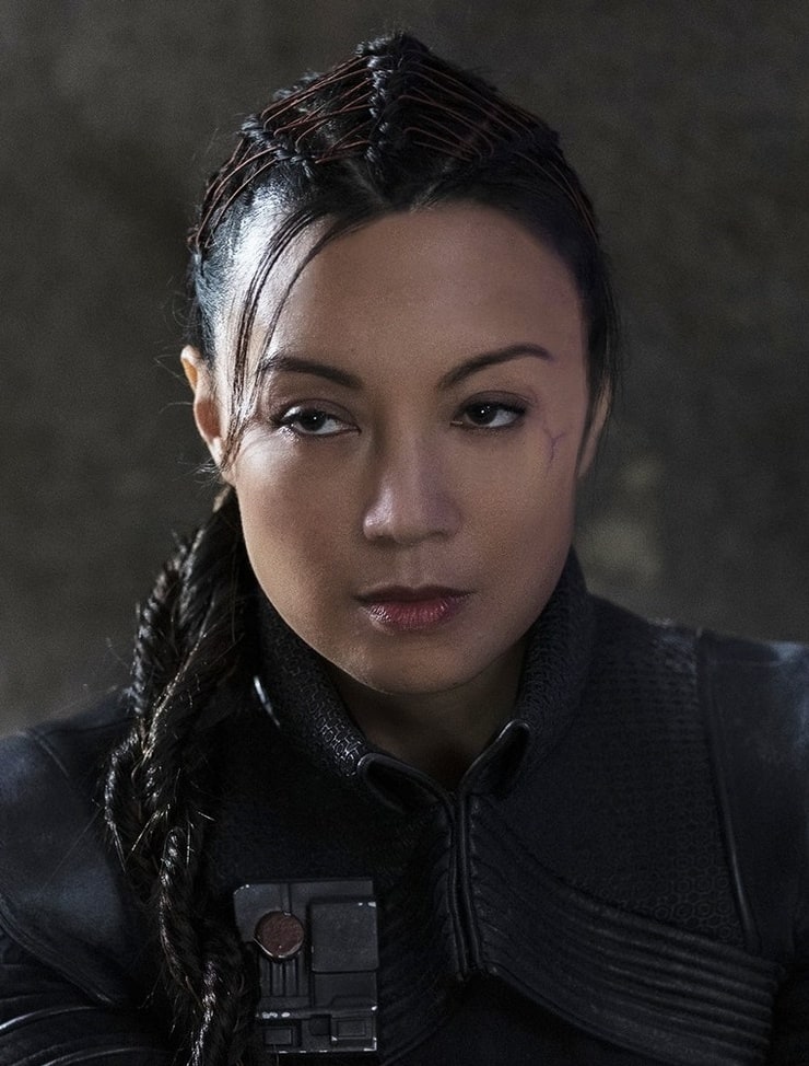 Picture of Fennec Shand