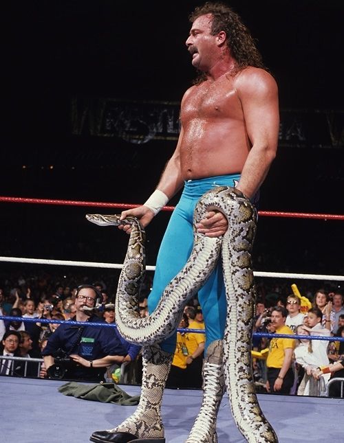 Jake "The Snake" Roberts picture