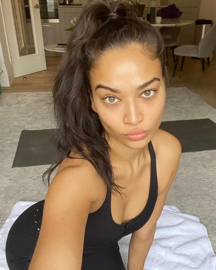 Shanina Shaik image