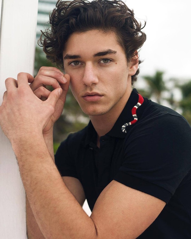 Picture of Belmont Cameli