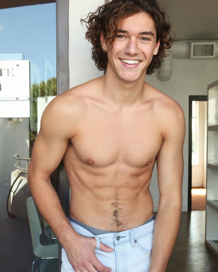 Picture of Belmont Cameli