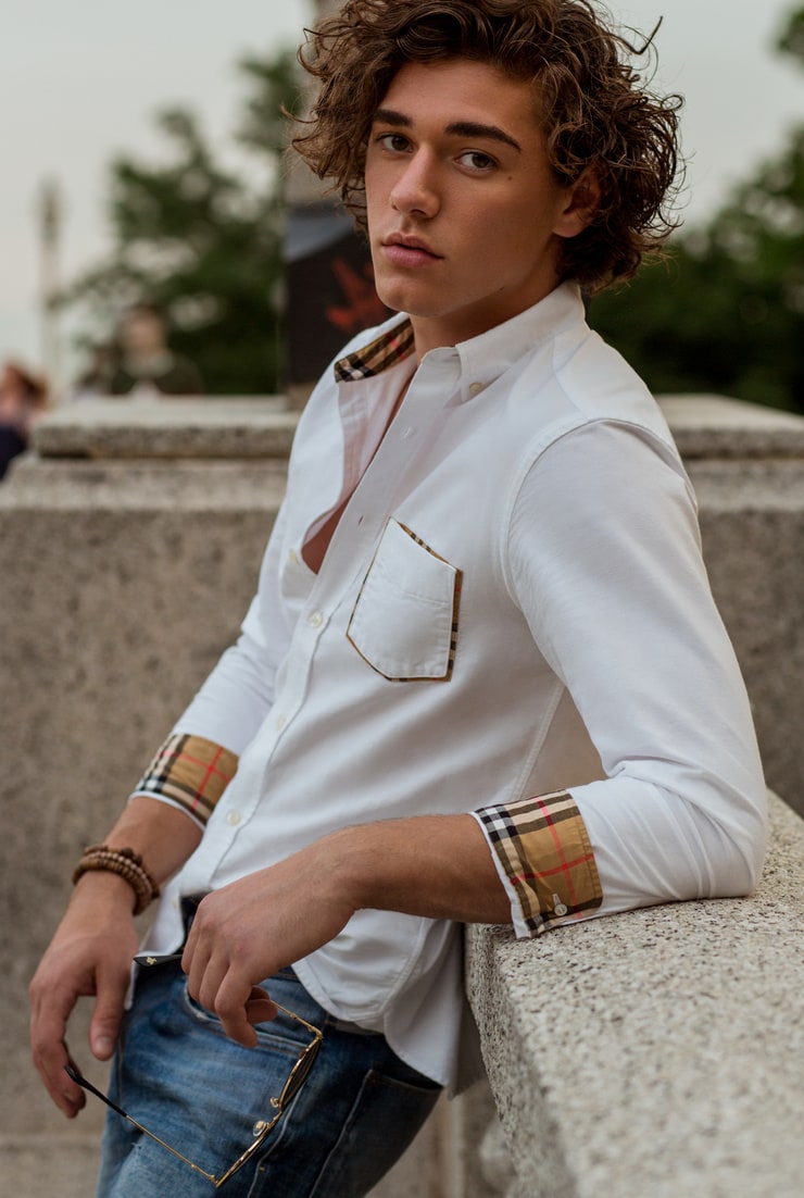 Belmont Cameli picture