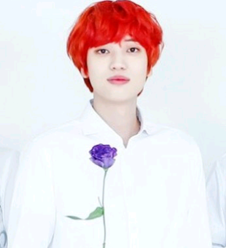 Picture of Niel