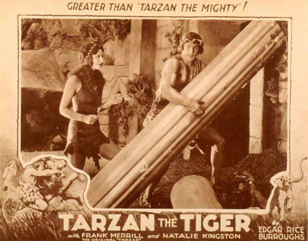 Picture of Tarzan the Tiger