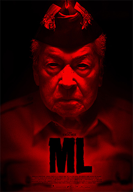 Picture of ML
