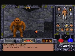 Picture of Ultima Underworld II: Labyrinth of Worlds