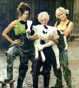 Picture of Dixie Chicks