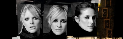 Picture of Dixie Chicks