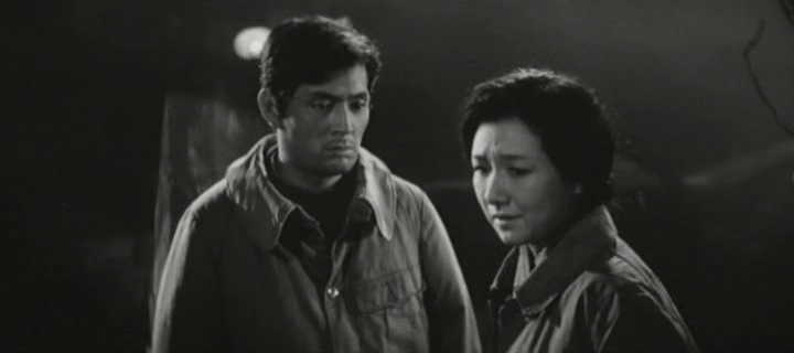 Picture of A Woman's Life