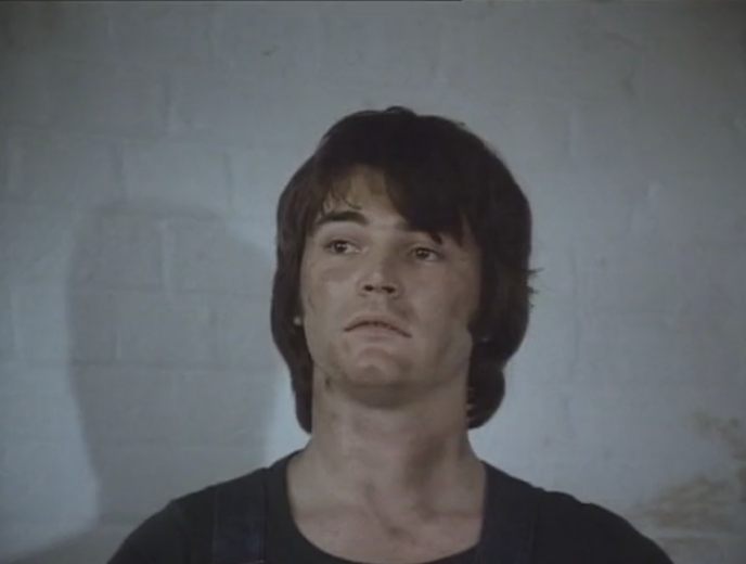 The Ups and Downs of a Handyman picture