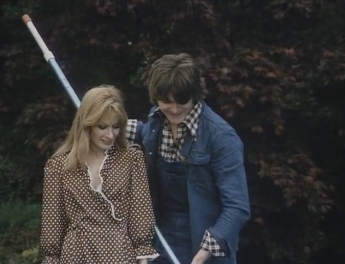 Picture of The Ups and Downs of a Handyman